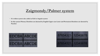 Tooth numbering system | PPTX
