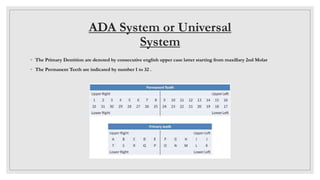 Tooth numbering system | PPTX
