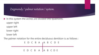 TOOTH NUMBERING SYSTEM.pptx