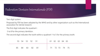 TOOTH NUMBERING SYSTEM.pptx
