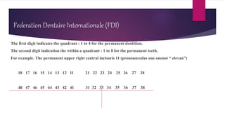TOOTH NUMBERING SYSTEM.pptx