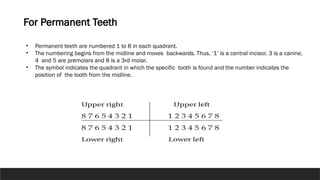 Tooth Numbering System in dentistry.pptx