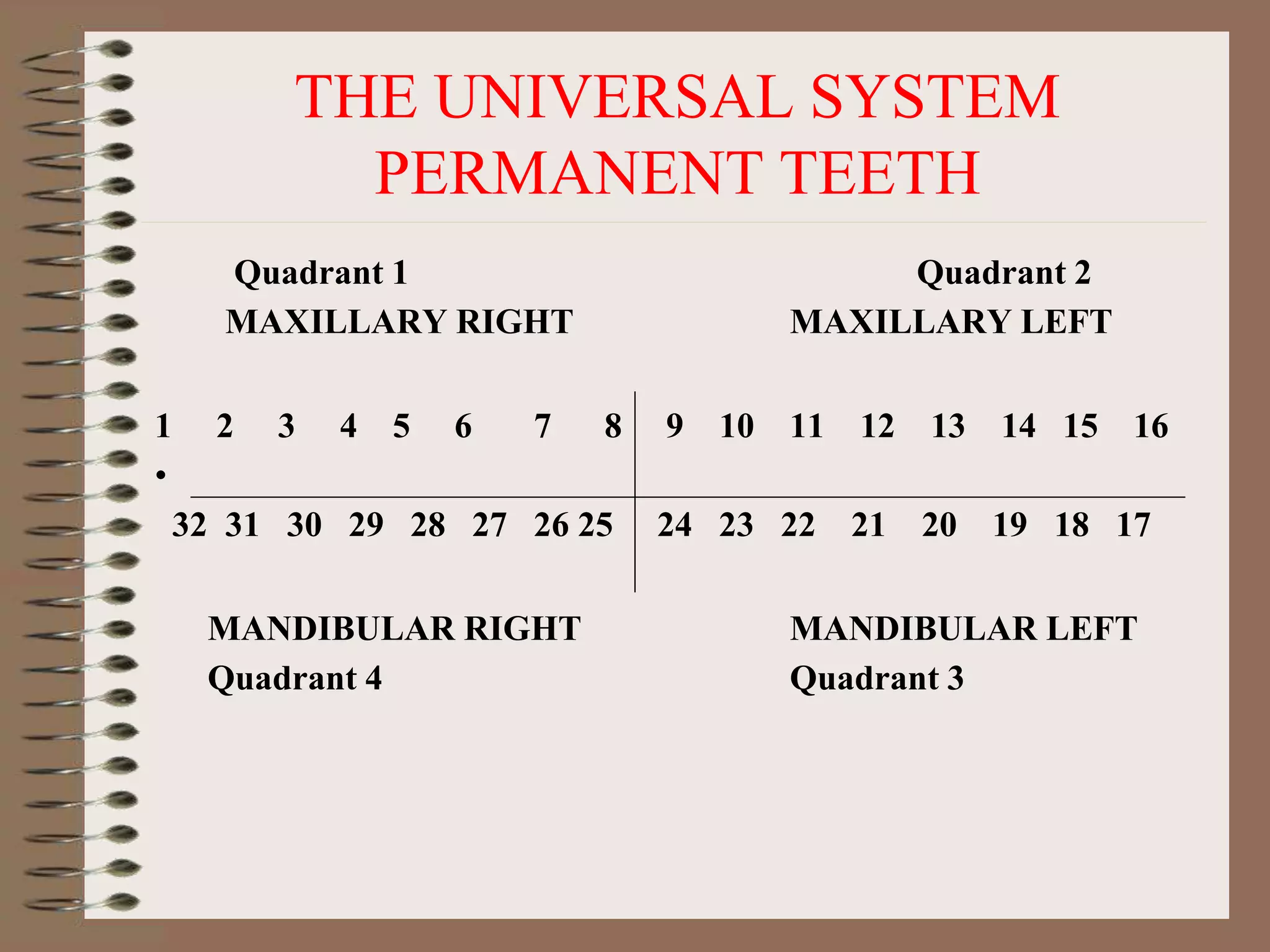 Tooth numbering systems | PPTX