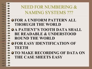 Tooth numbering systems | PPTX