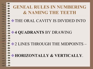 Tooth numbering systems | PPTX