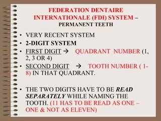 Tooth numbering systems | PPTX