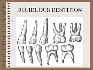 Tooth numbering systems | PPTX