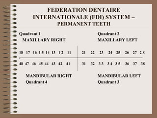 Tooth numbering systems | PPT