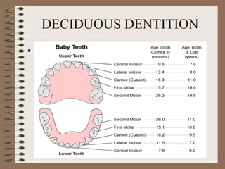 Tooth numbering systems | PPT