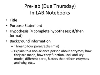 Toothpick ase lab | PPTX
