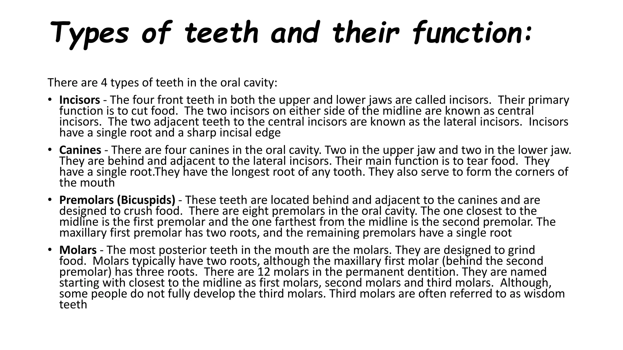 TEETH | PPT