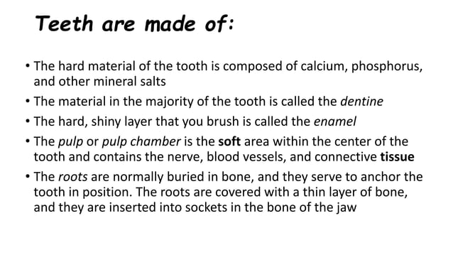 TEETH | PPT