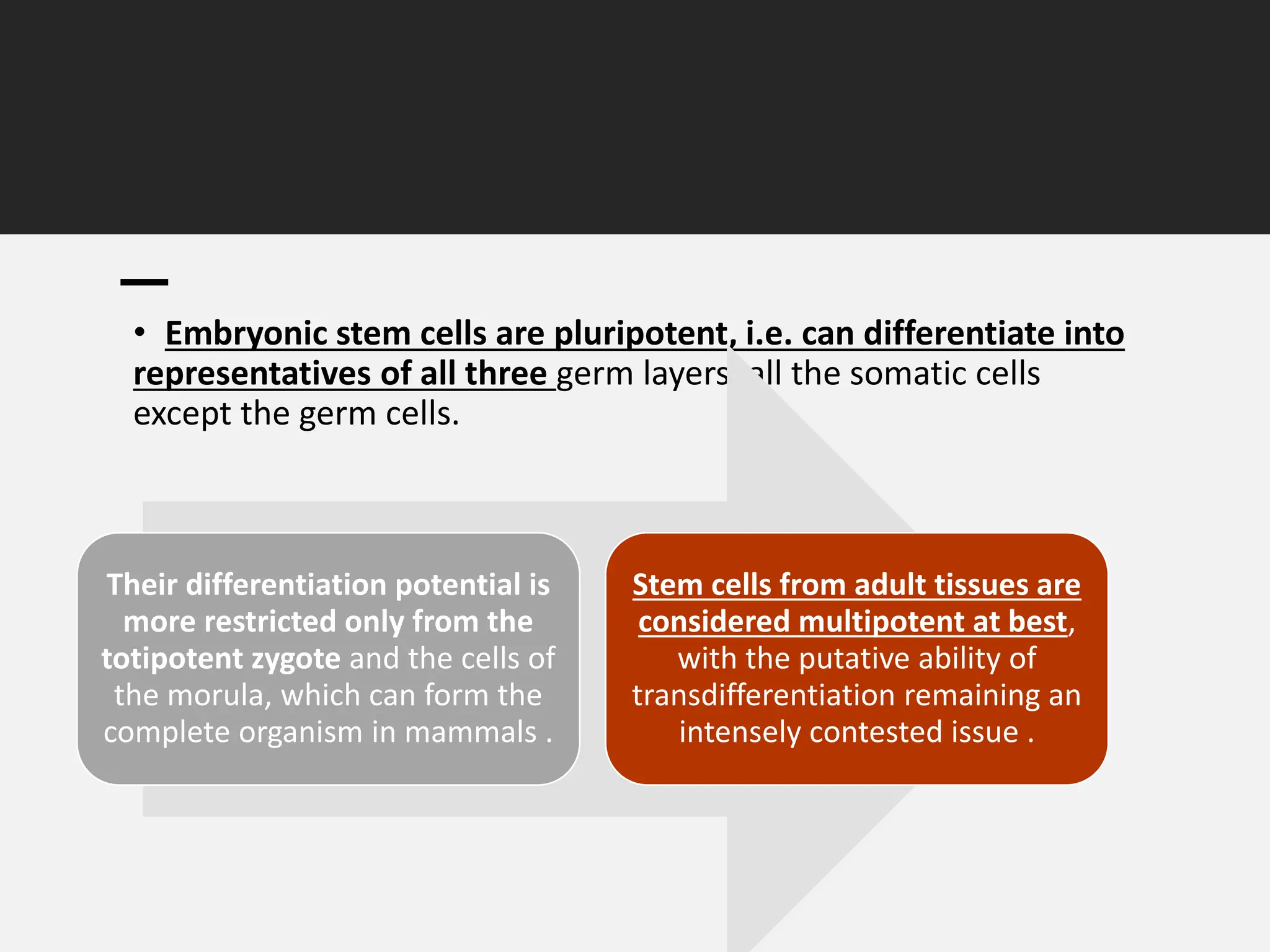 tooth regeneration: Between Reality and Imagination.pptx