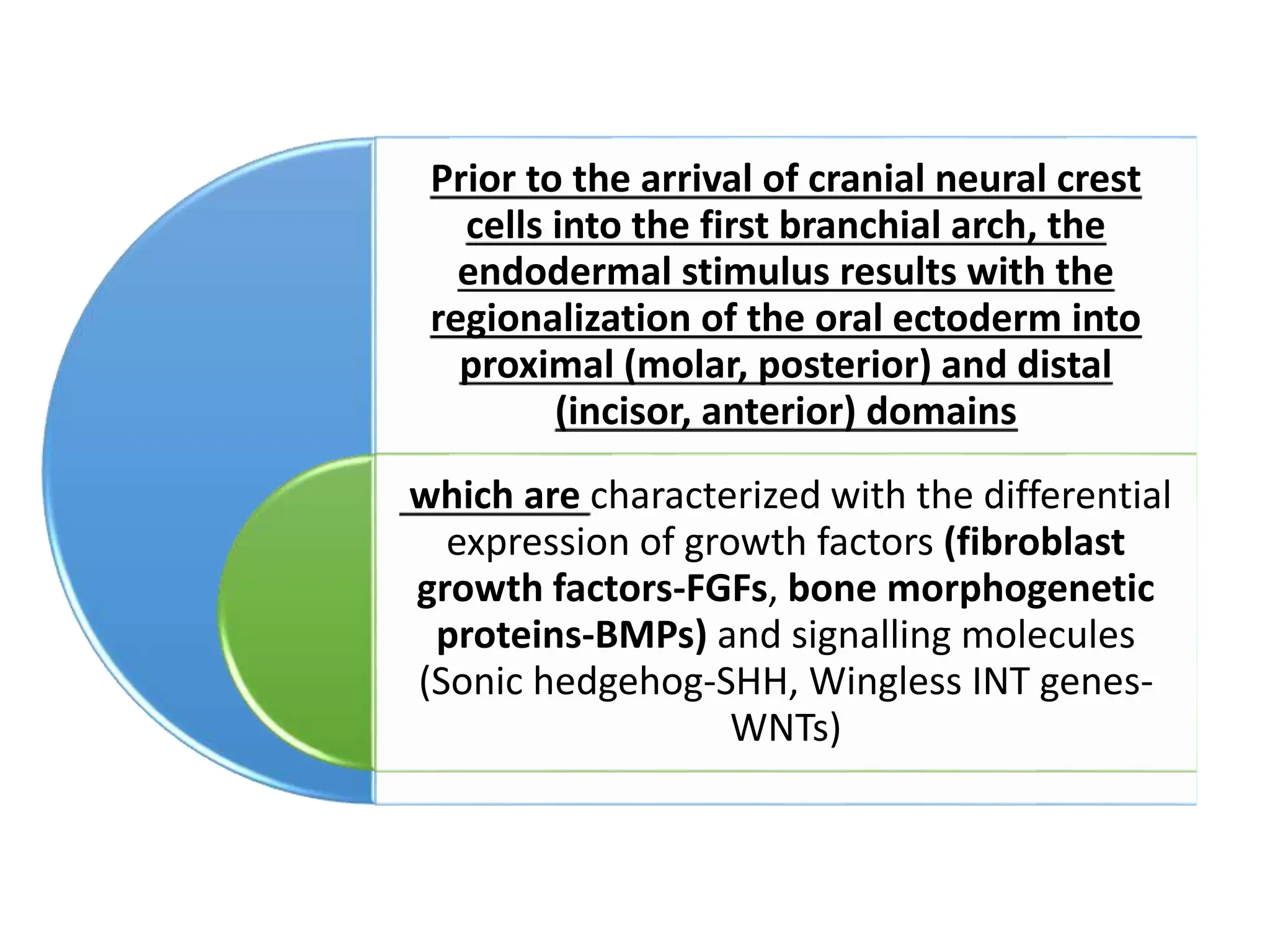 tooth regeneration: Between Reality and Imagination.pptx