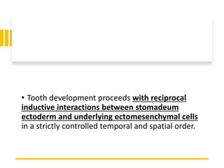 tooth regeneration: Between Reality and Imagination.pptx