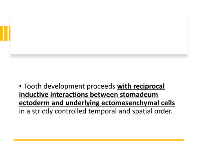 tooth regeneration: Between Reality and Imagination.pptx | Dental ...