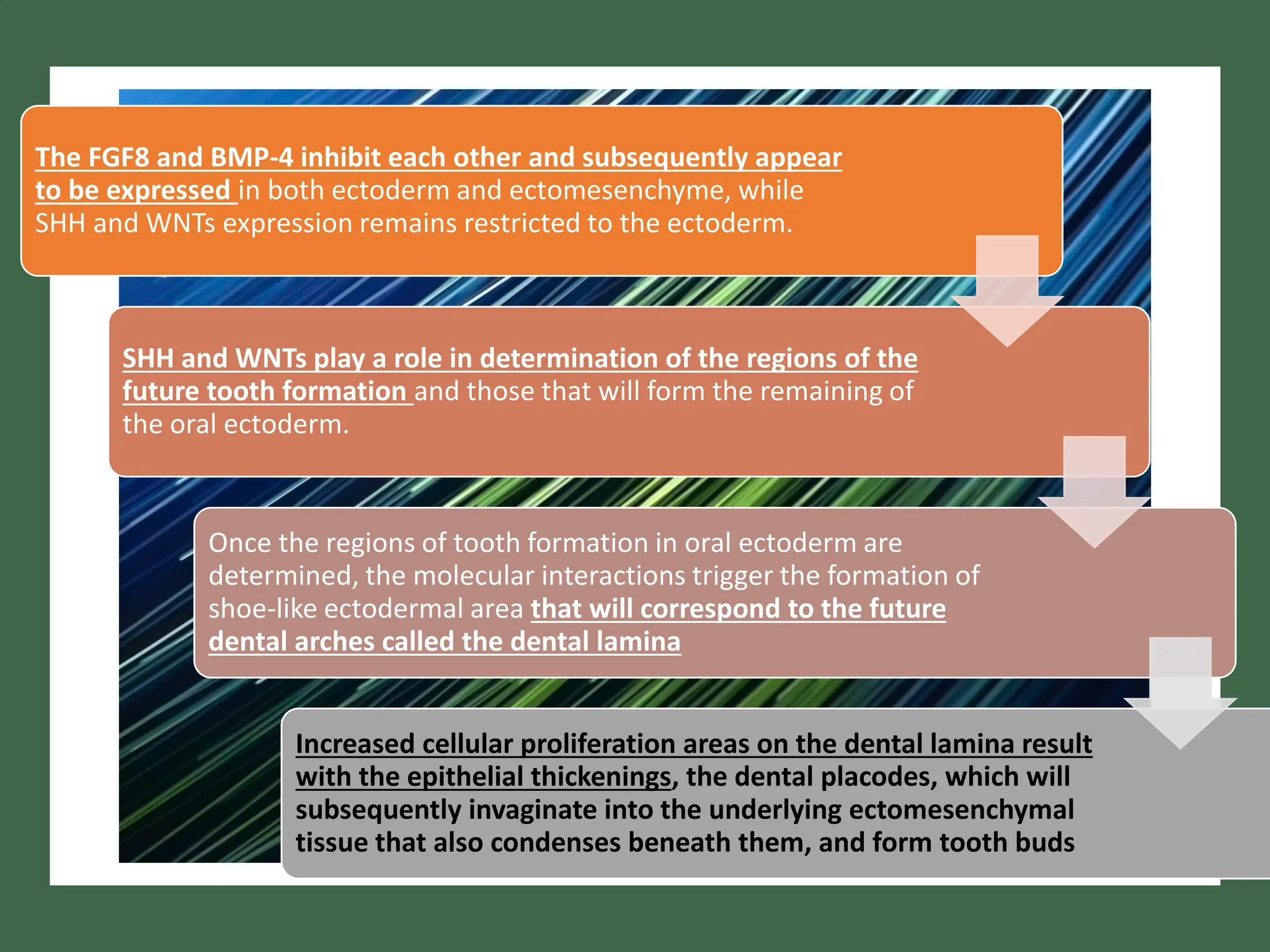 tooth regeneration : Between Reality and Imagination.pdf