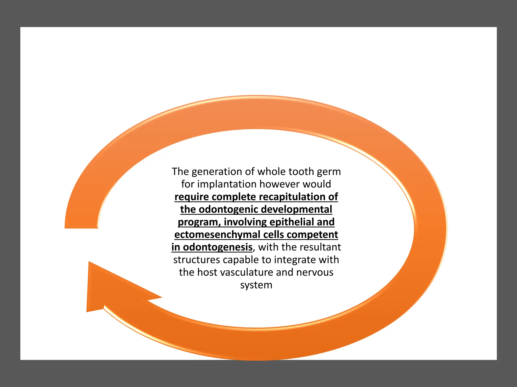 tooth regeneration : Between Reality and Imagination.pdf