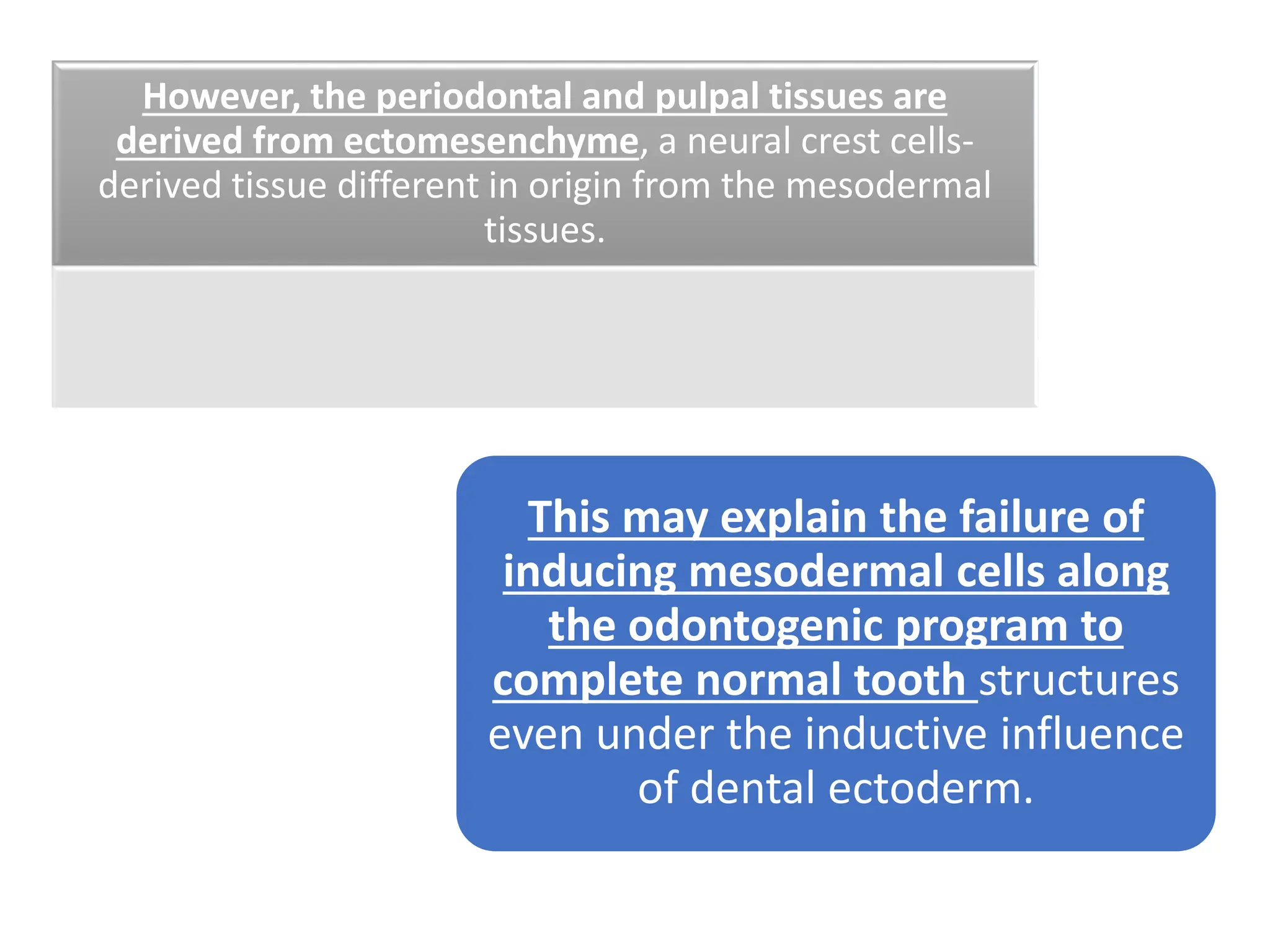 tooth regeneration : Between Reality and Imagination.pdf