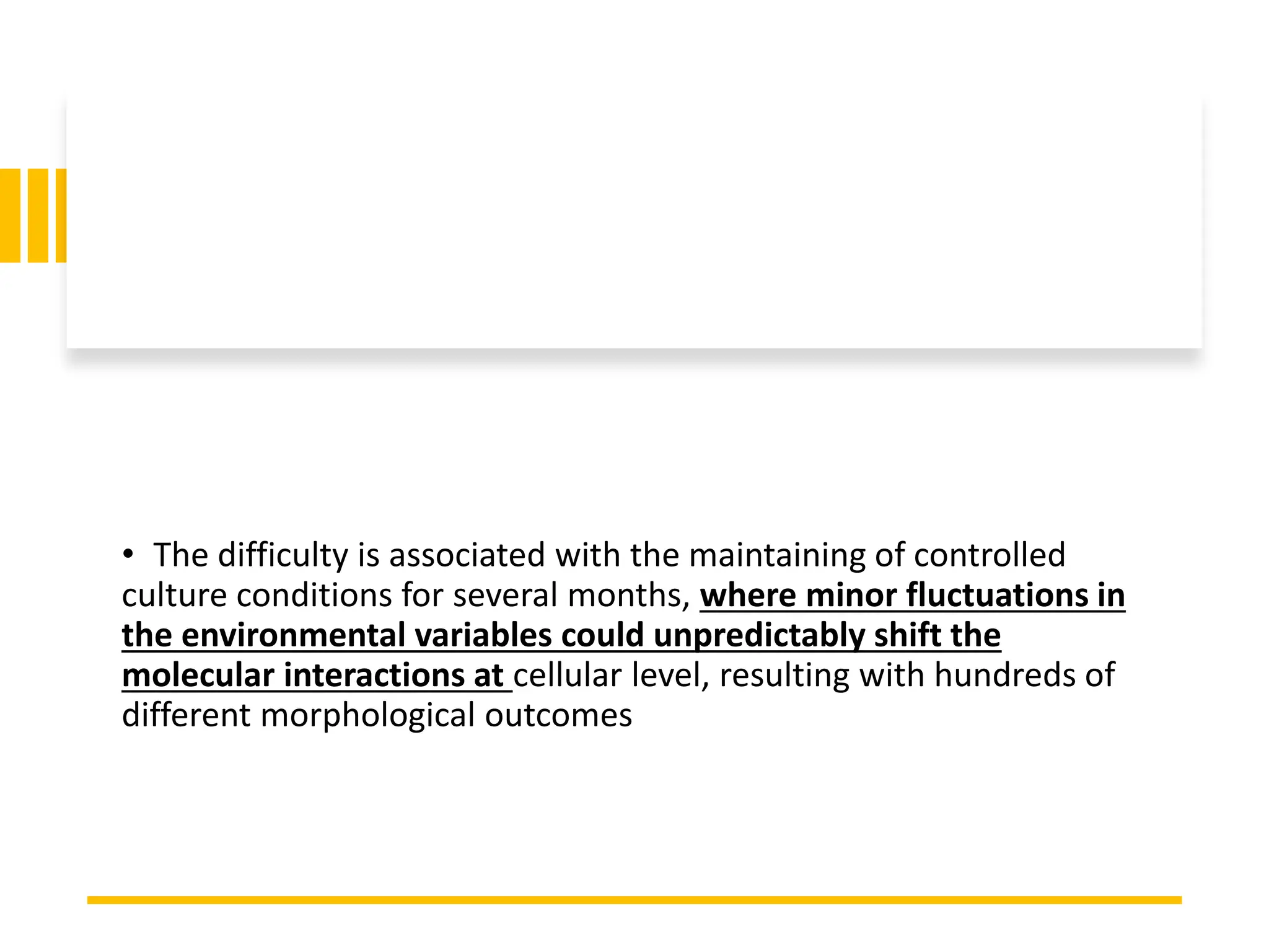 tooth regeneration : Between Reality and Imagination.pdf
