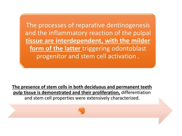 tooth regeneration : Between Reality and Imagination.pdf | Dental ...