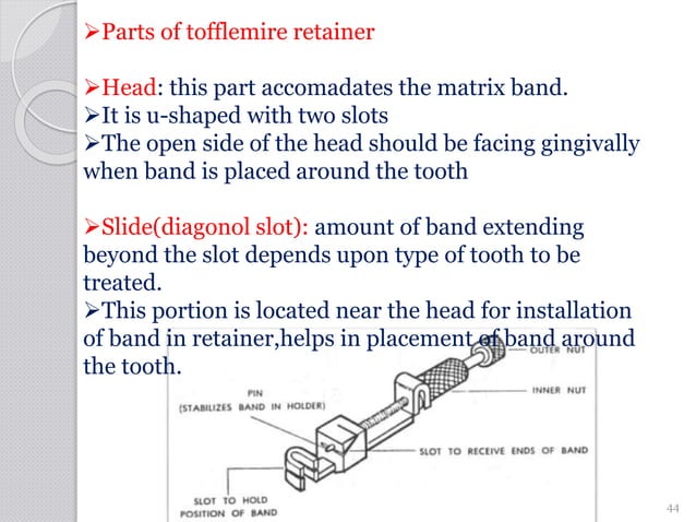 Tooth seperation matrix wedges amjath | PPTX | Dental Health | Diseases ...