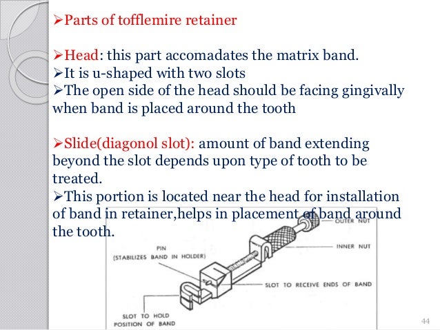 Tooth seperation matrix wedges amjath