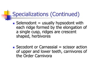 Tooth Structure and Evolution.ppt