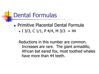Tooth Structure and Evolution.ppt