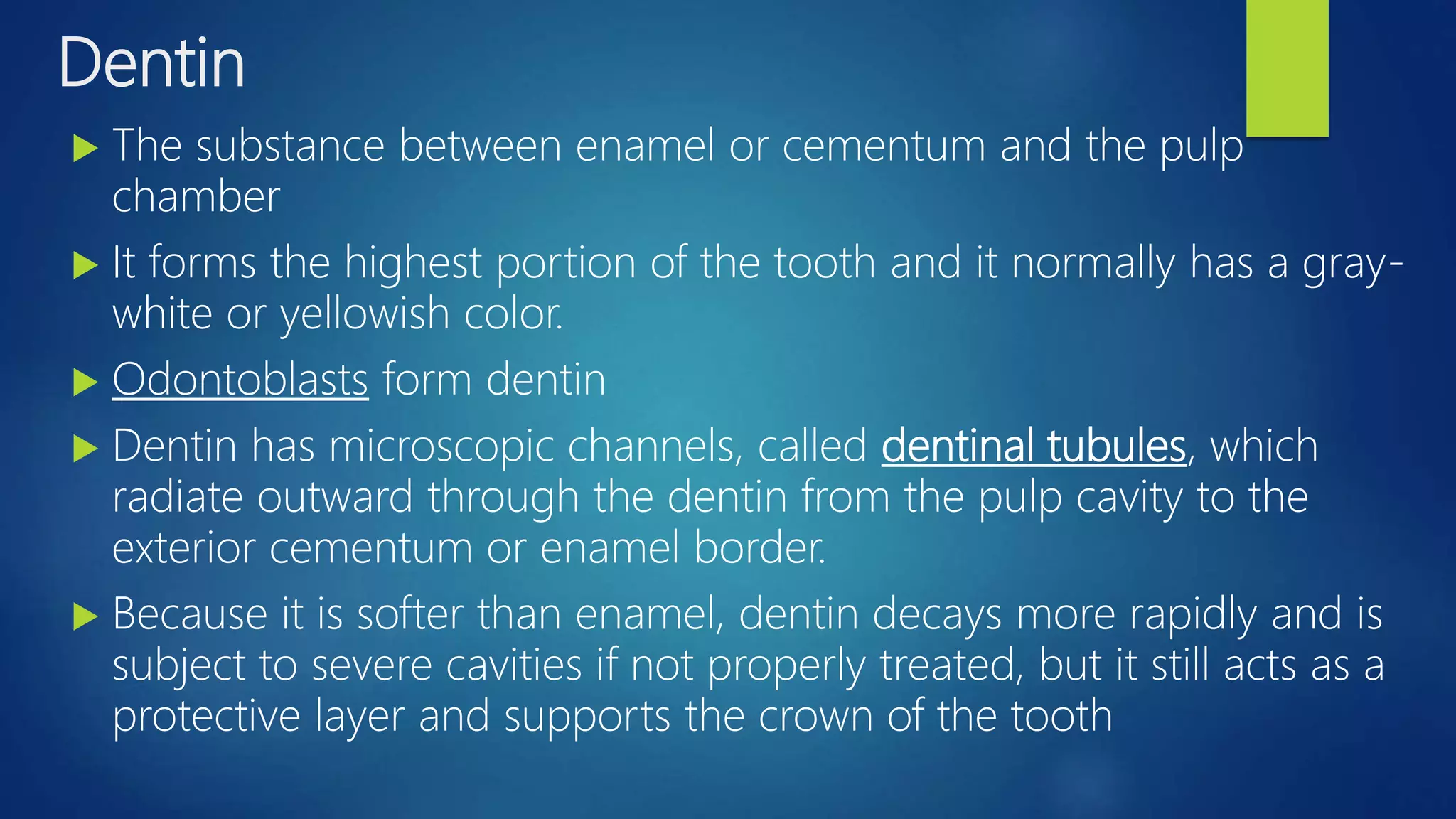 Tooth Structures, Periodontium, and Caries Classifications Powerpoint ...