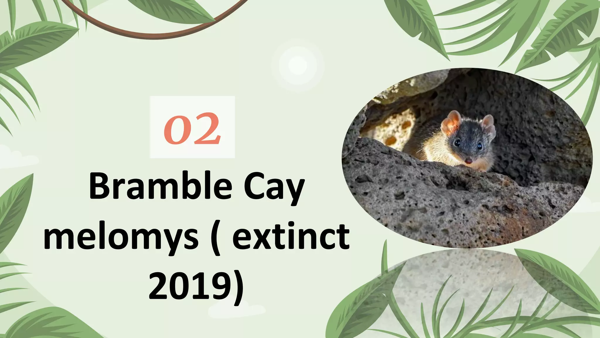 Top 10 Extinct Animals Pdf