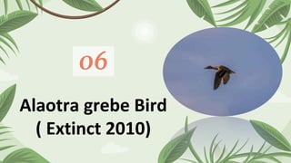 Top 10 Extinct Animals Pdf