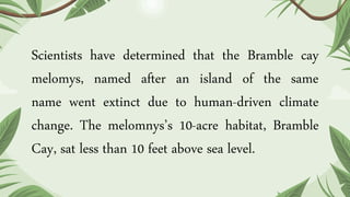 Top 10 Extinct Animals Pdf