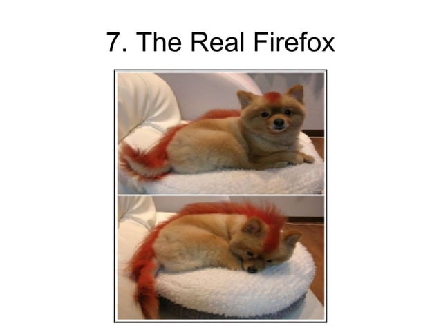 Top 10 Firefox Images | PPT