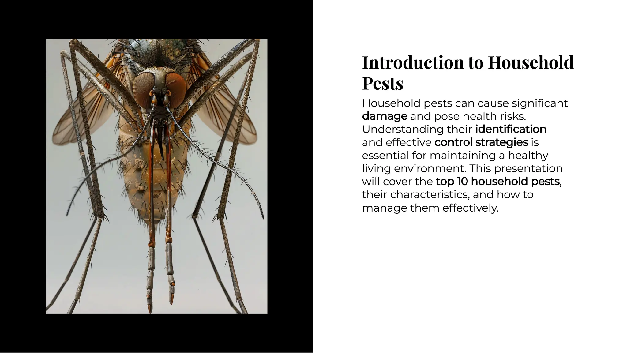 Top-10-household-pests-identification-and-control-strategies.pdf