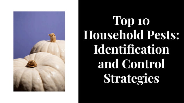 Top-10-household-pests-identification-and-control-strategies.pdf
