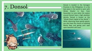 Top 10 Places to Visit in the Philippines | PDF
