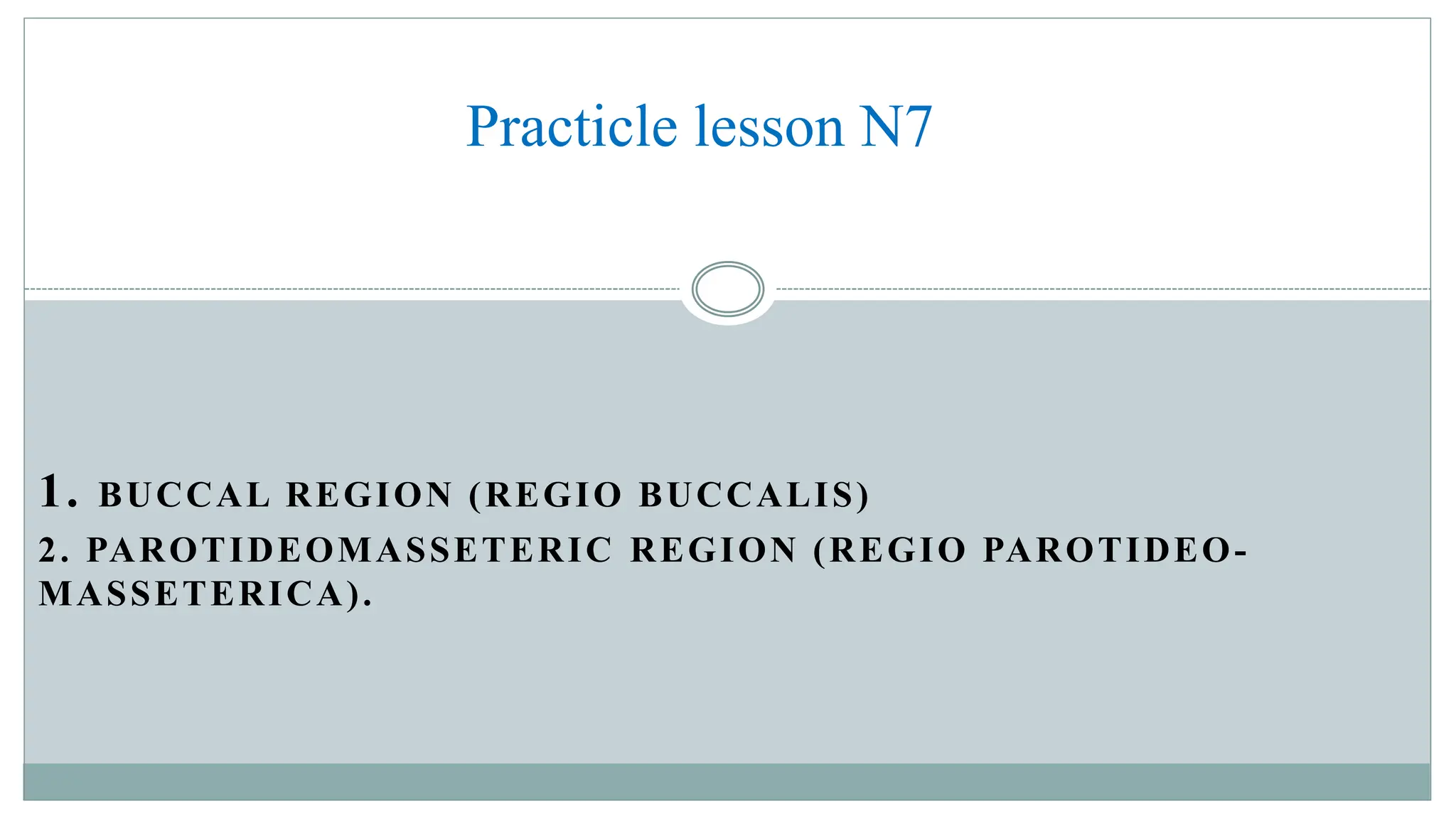 top. pract. lesson N4 1 semestr (2).ppt