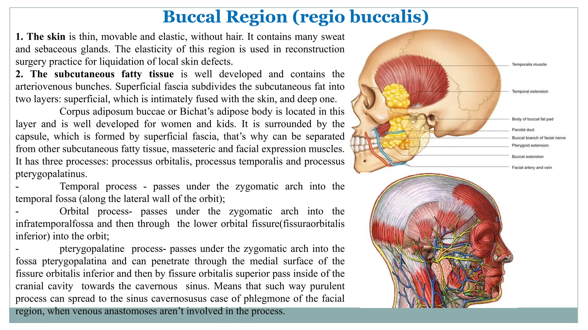 top. pract. lesson N4 1 semestr (2).ppt