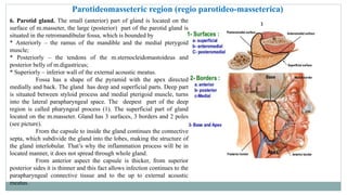 top. pract. lesson N4 1 semestr (2).ppt