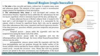top. pract. lesson N4 1 semestr (2).ppt