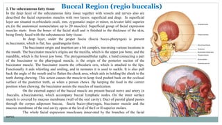 top. pract. lesson N4 1 semestr (2).ppt