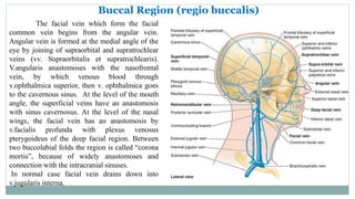 top. pract. lesson N4 1 semestr (2).ppt