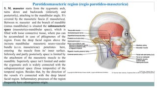 top. pract. lesson N4 1 semestr (2).ppt