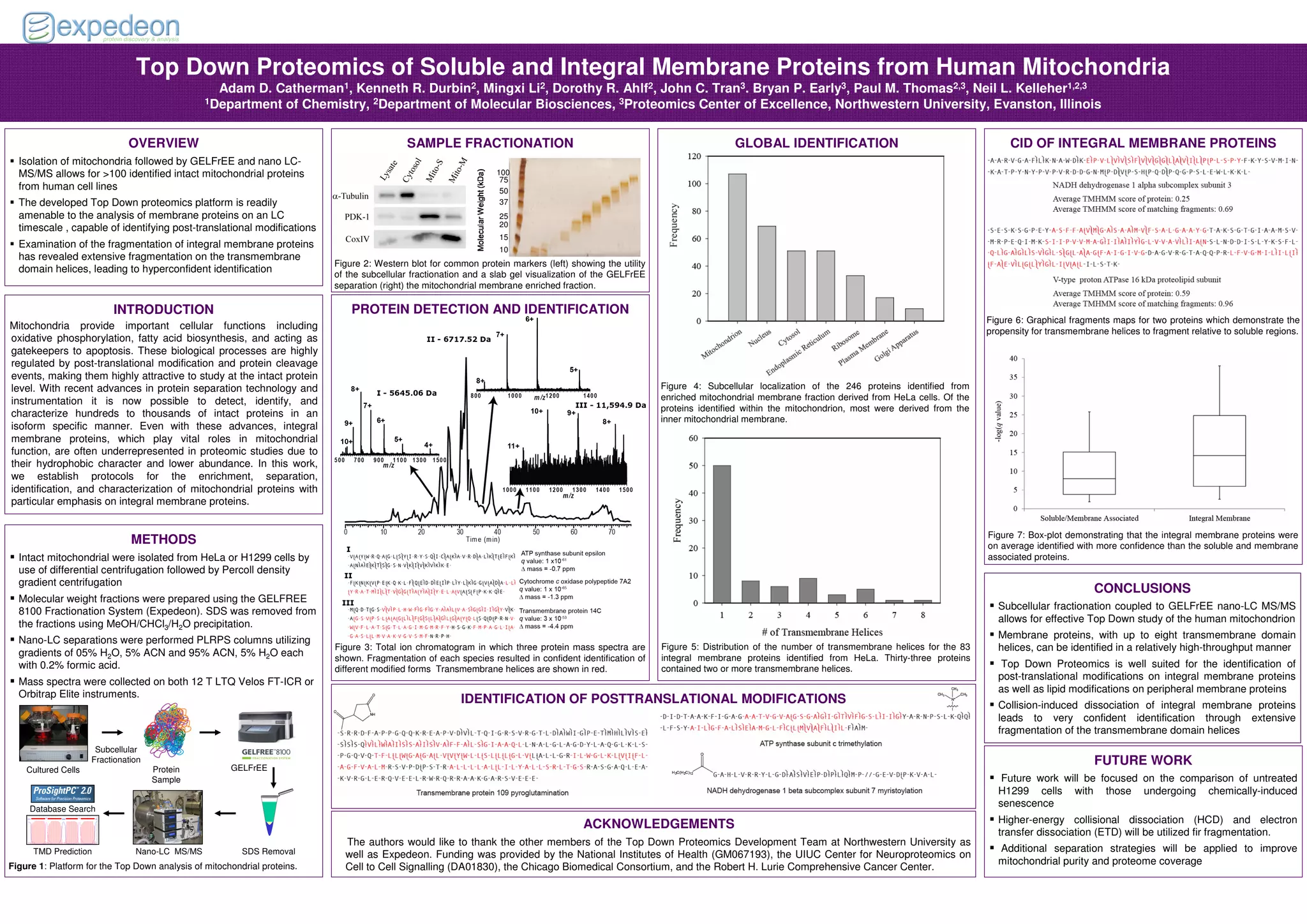 Top down proteomics of soluble and integral membrane proteins | PDF