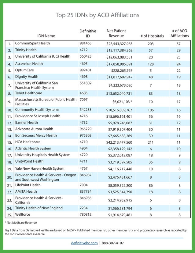 Top IDNs by ACO Affiliations | PDF