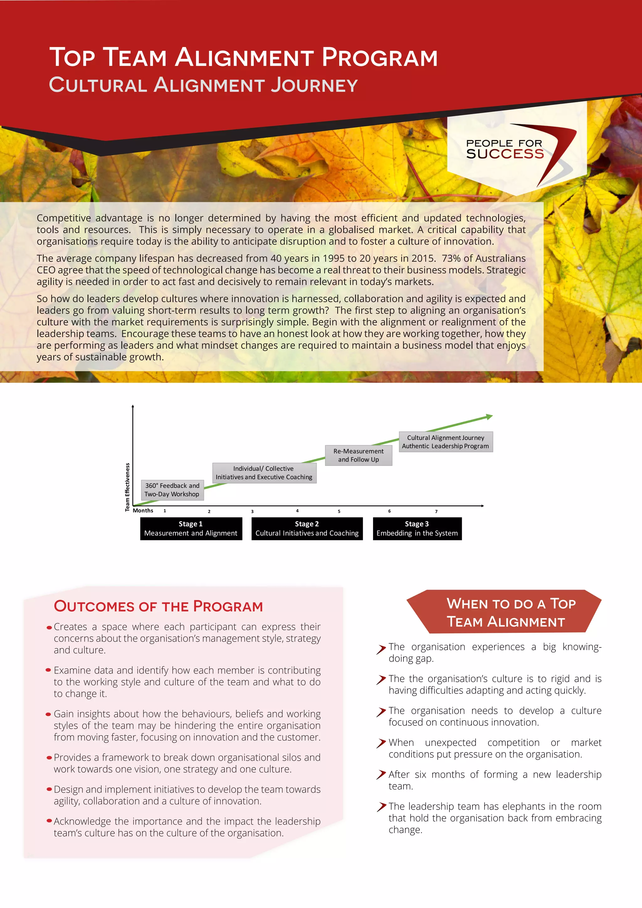 Top Team Alignment Program | PDF | Business Administration | Business