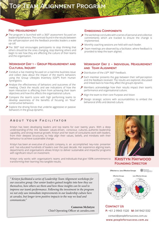 Top Team Alignment Program | PDF | Business Administration | Business