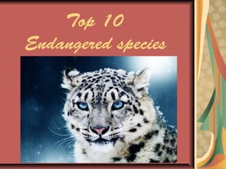 Top 10 | PPT | Geography | Science