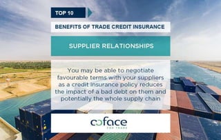 Top 10 Benefits of Trade Credit Insurance | PPTX | Insurance | Personal Finance